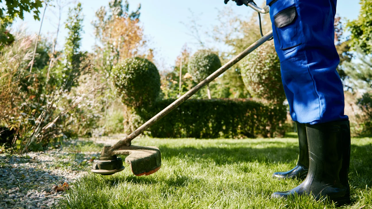 Year-Round Landscaping Tips for Every Season | Gabes Services